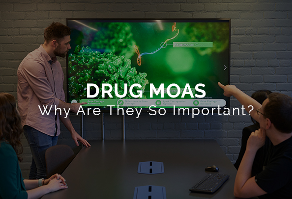 What Are Drug MoA Animations & Why Are They So Important? What Are Drug MoA Animations & Why Are They So Important?